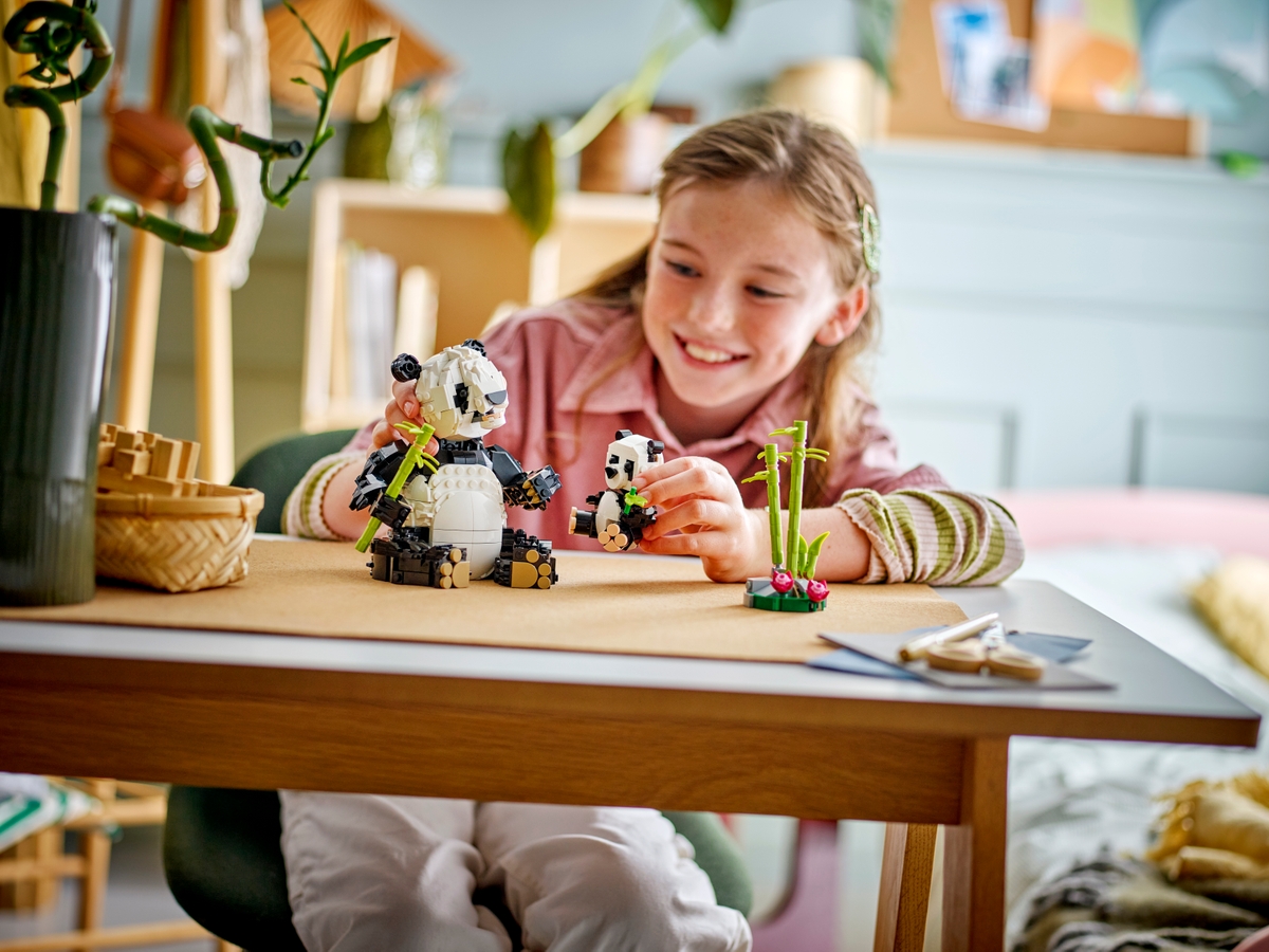 Encourages families to change playtime priorities - About Us - LEGO.com