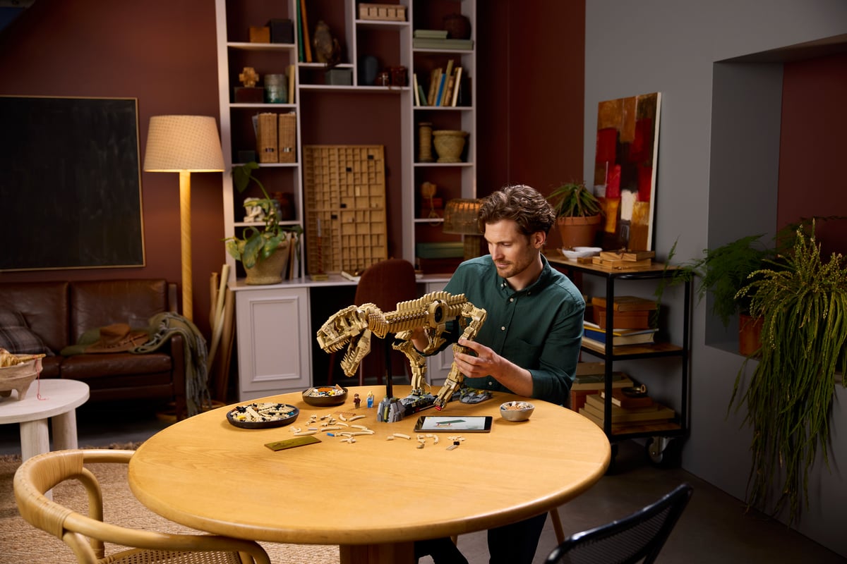 The LEGO Jurassic World Tyrannosaurus rex Model Building Set - About Us ...