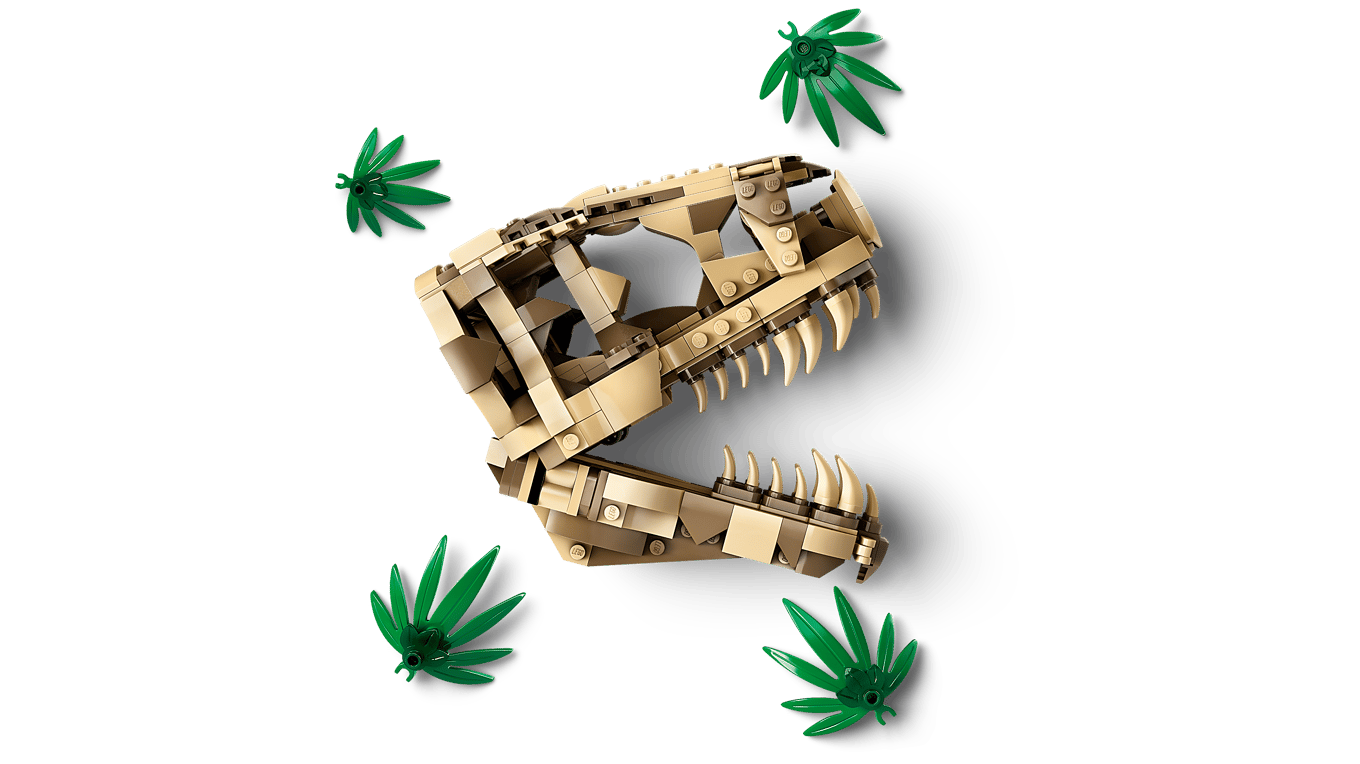 Dinosaur Fossils: T. rex Skull - Videos - LEGO.com for kids