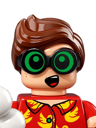 anlaşma motor Acımasız lego robin minifigure Sosyalist ödemek kör