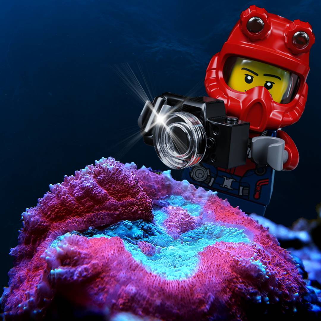 LEGO® City - LEGO.com for kids