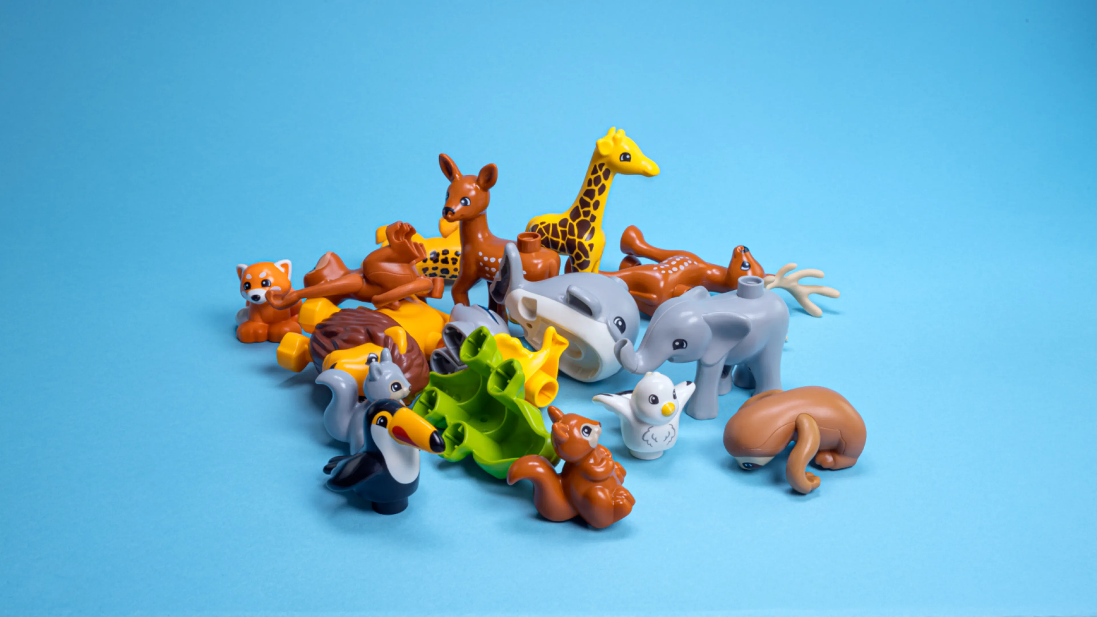 It’s a jungle in here! | 가족을 위한 LEGO.com