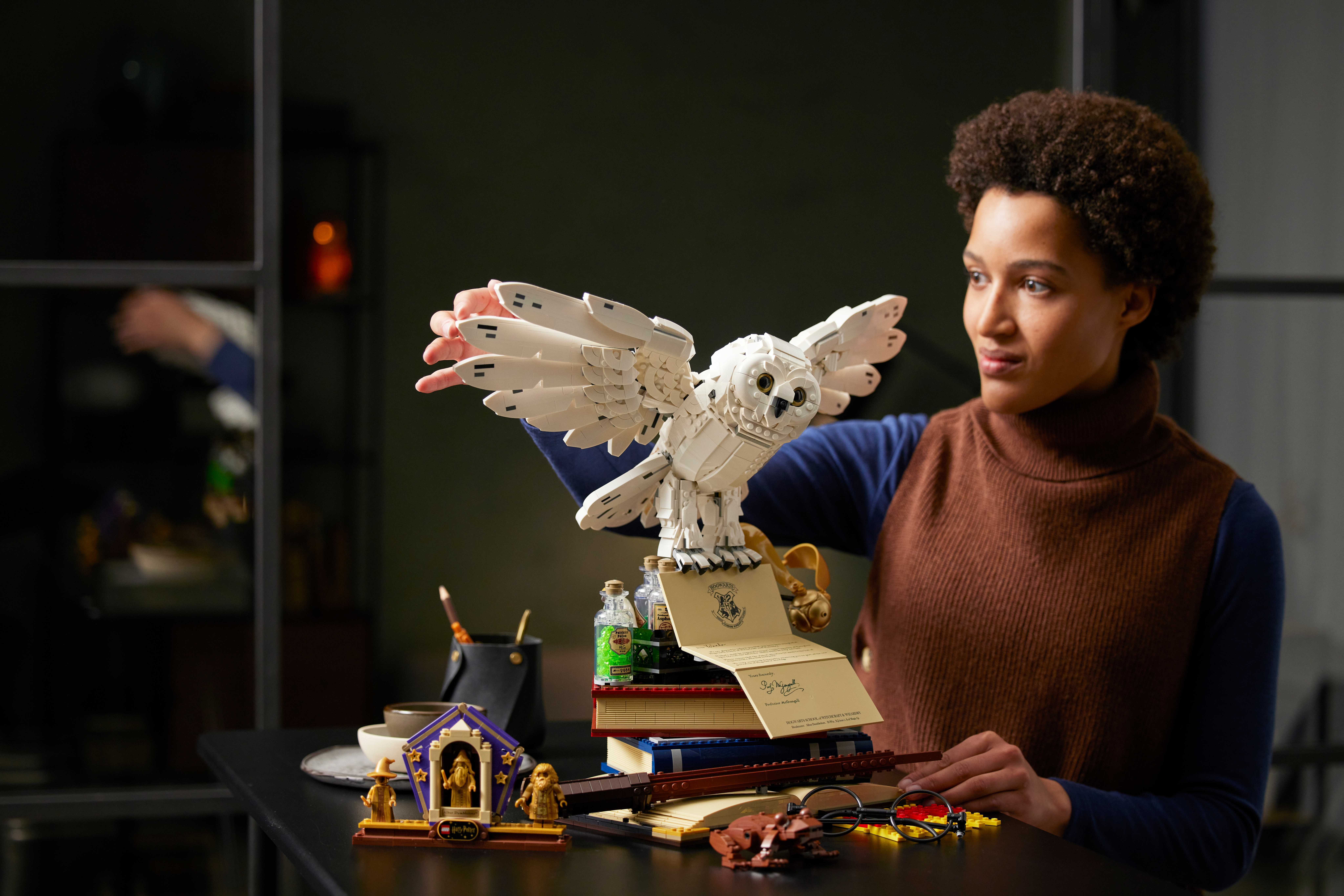 10 Best LEGO® Sets for Adults | Official LEGO® Shop US