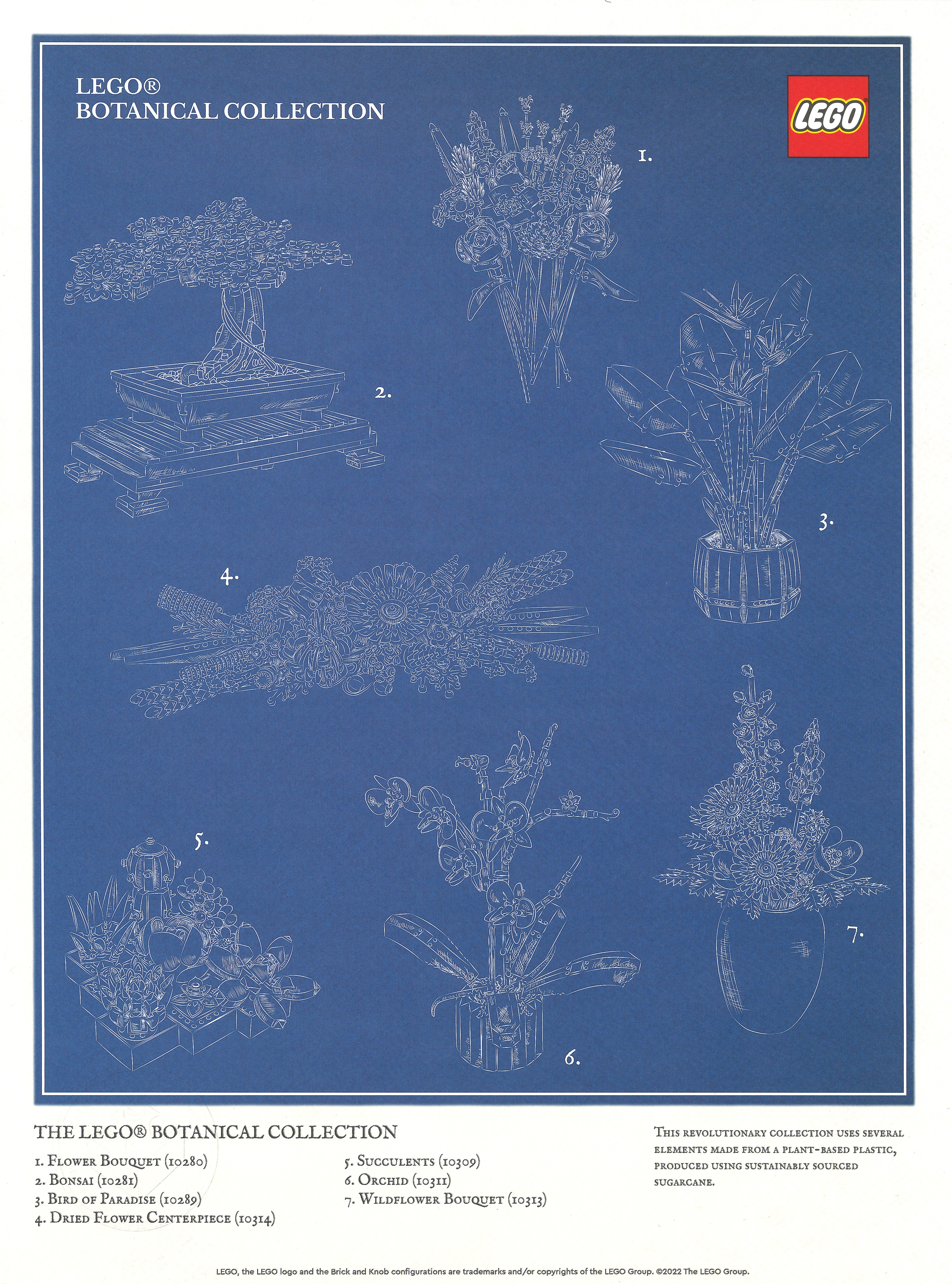 Botanical Collection Art Print – Blueprint 5007797 | Other | Buy online ...
