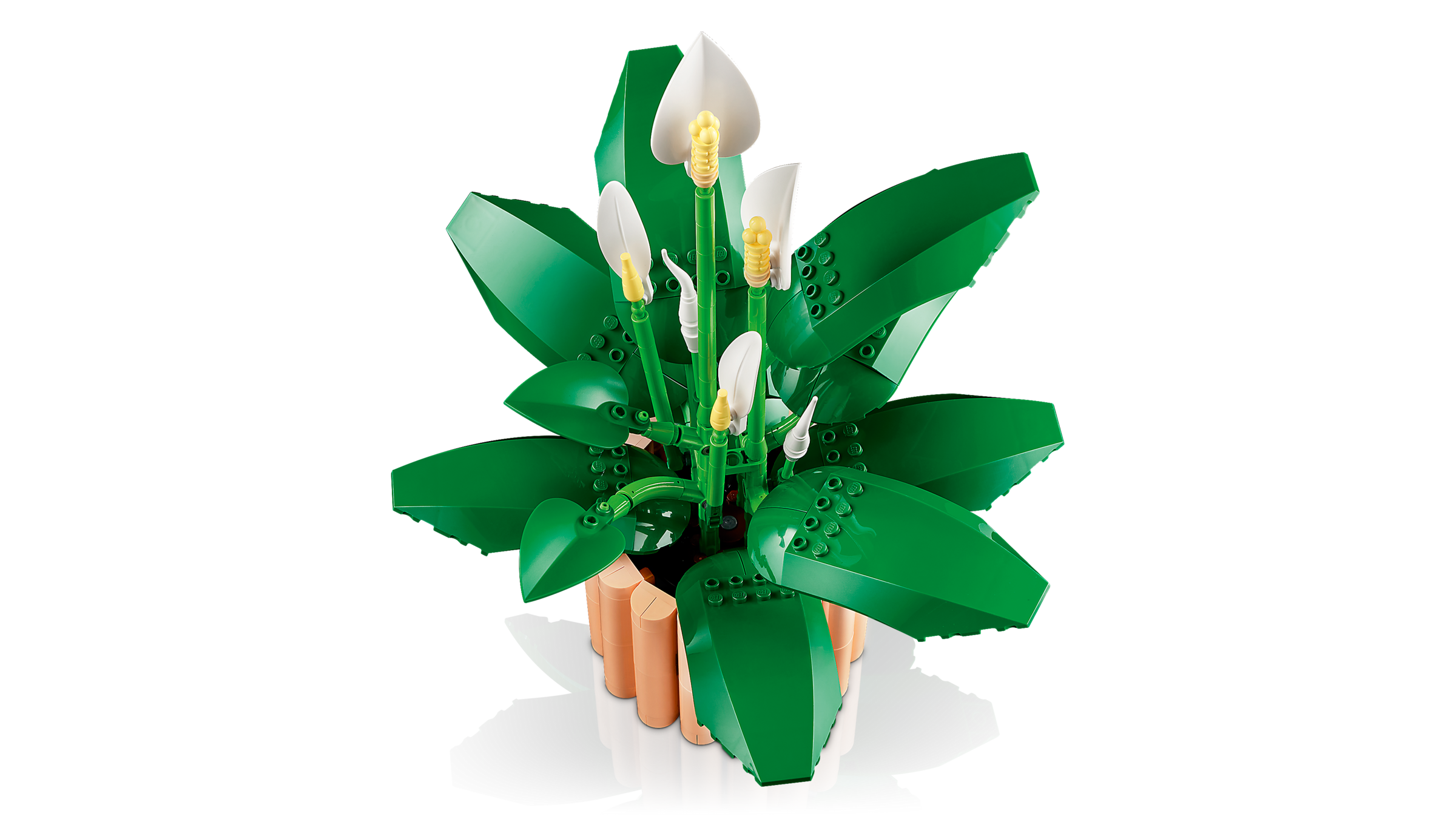 Novità LEGO Botanicals: quattro set floreali in arrivo per il 2026 ...