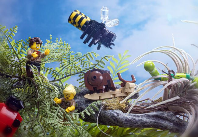LEGO® Insekten Bauaktivität | Offizieller LEGO® Shop DE