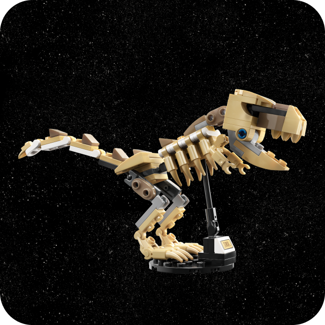LEGO® Jurassic World | LEGO.com CN