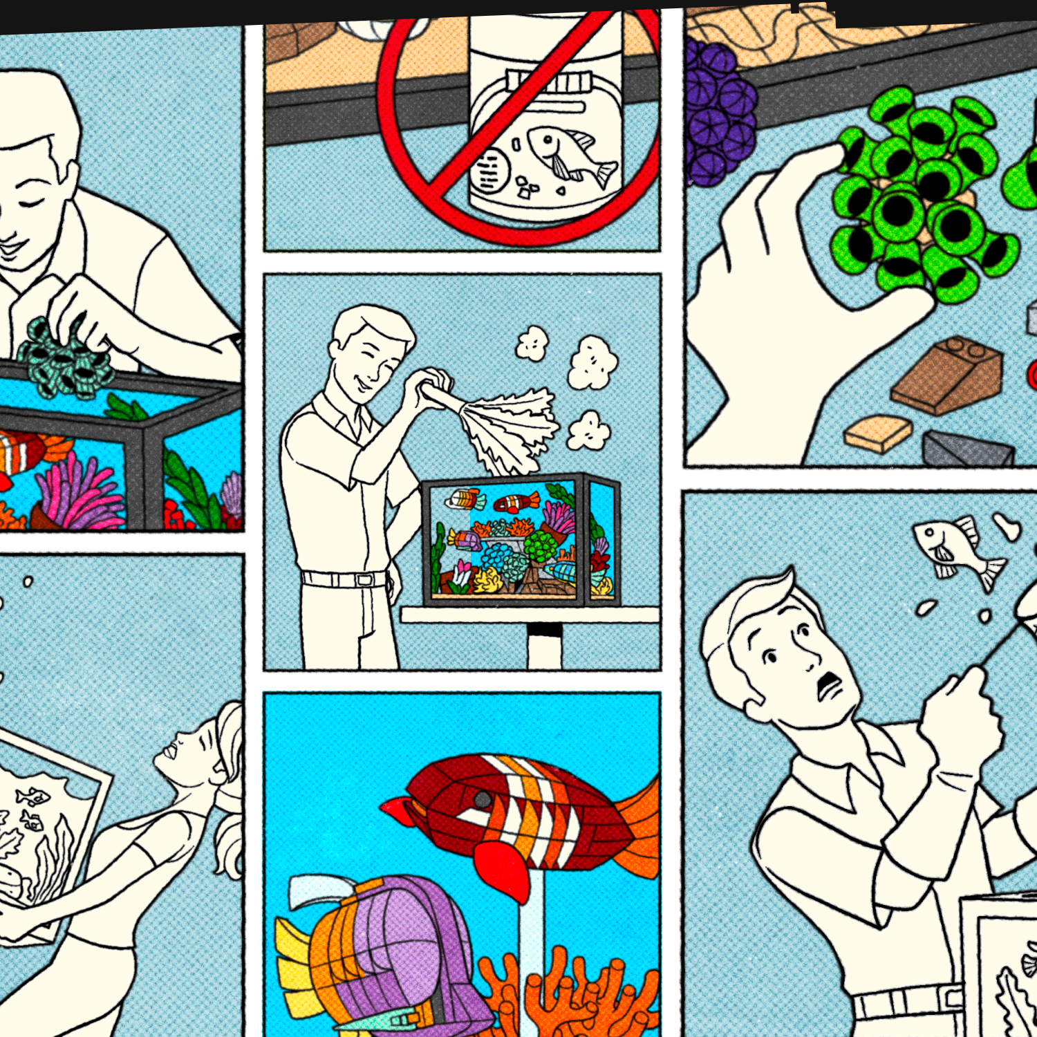 Dein LEGO® Aquarium aufstellen: Eine Anfängeranleitung | Offizieller ...