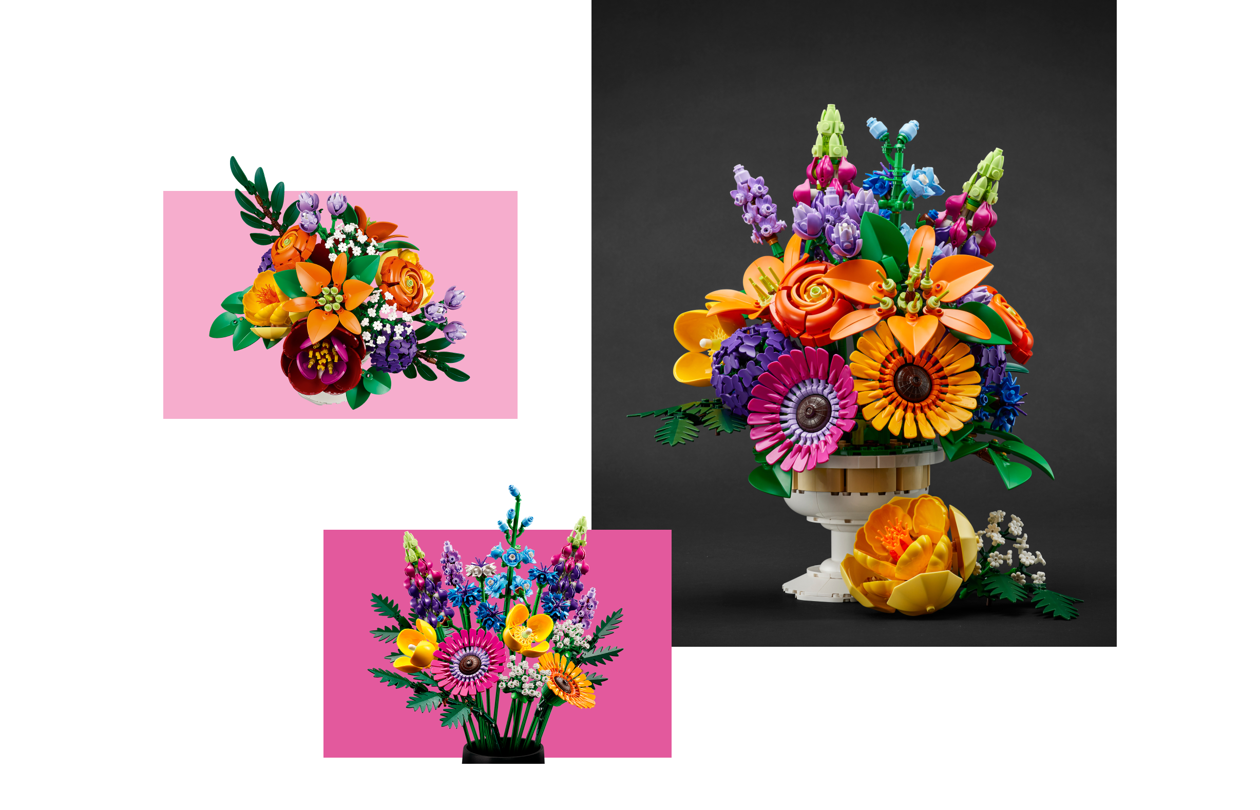 Art De La Fleur De Cactus Fleur D'Light
