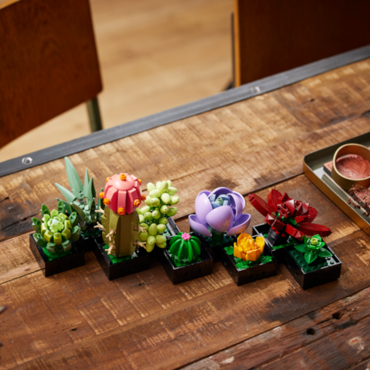 The different types of succulents in the LEGO® Botanicals collection ...