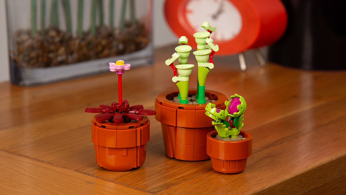 How to Display the LEGO® Icons Tiny Plants in Your Home | Official LEGO® SA