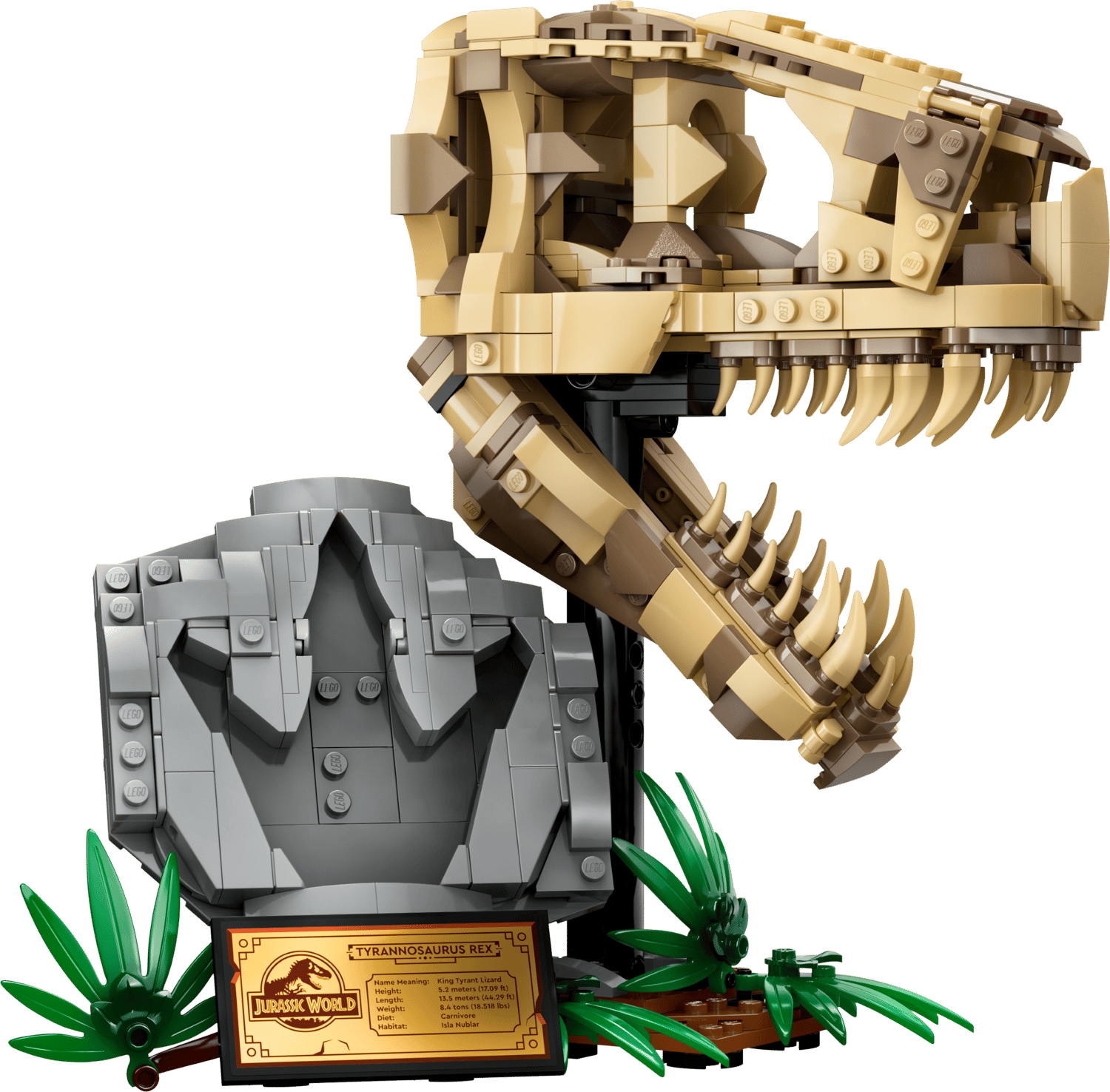Les Fossiles De Dinosaures Le Cr ne De T Rex 76964 Jurassic World Les Fossiles De Dinosaures Le Cr ne De T Rex 76964 Jurassic World