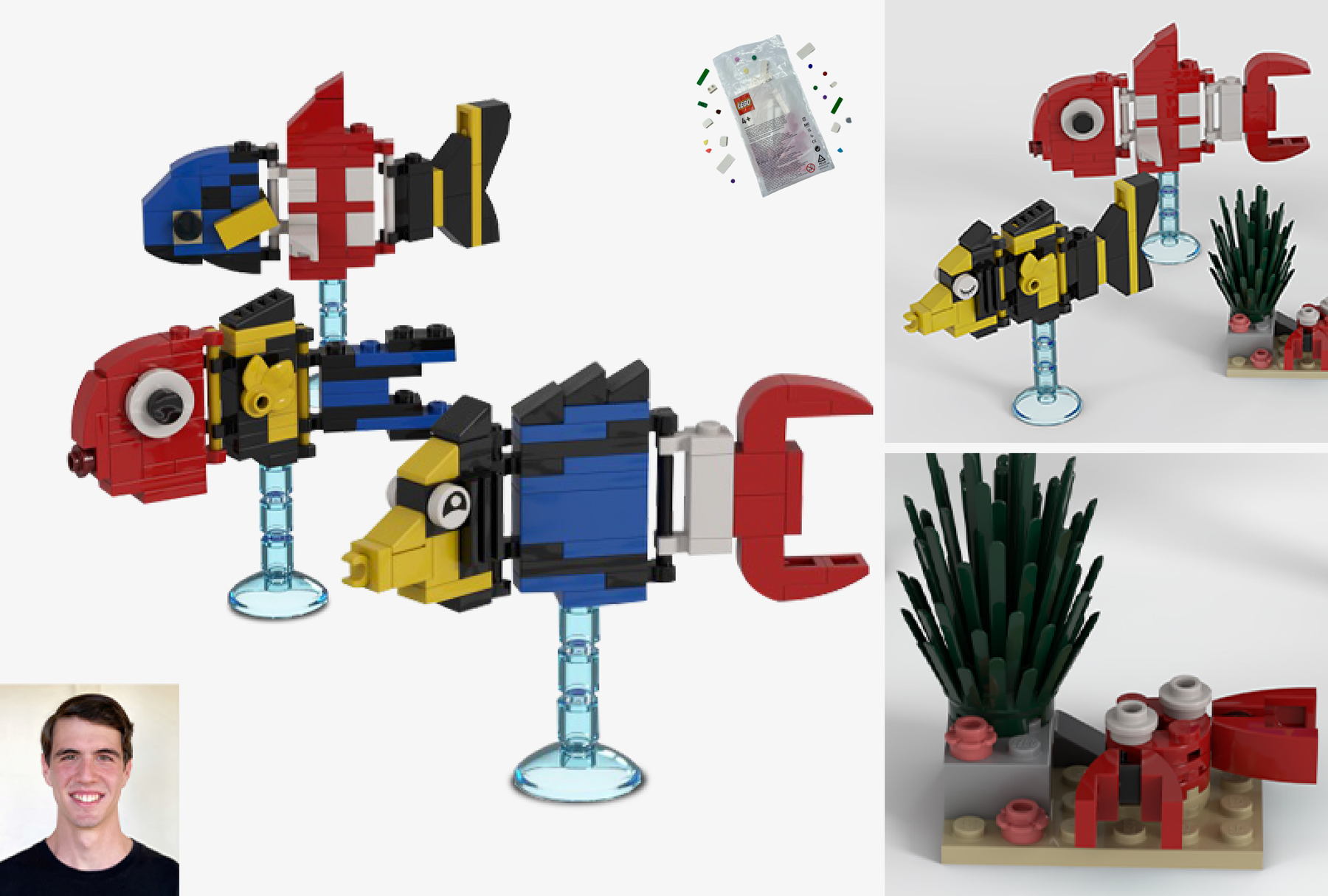 LEGO Ideas - Pick a Brick Contest Winners | Official LEGO® Shop LV