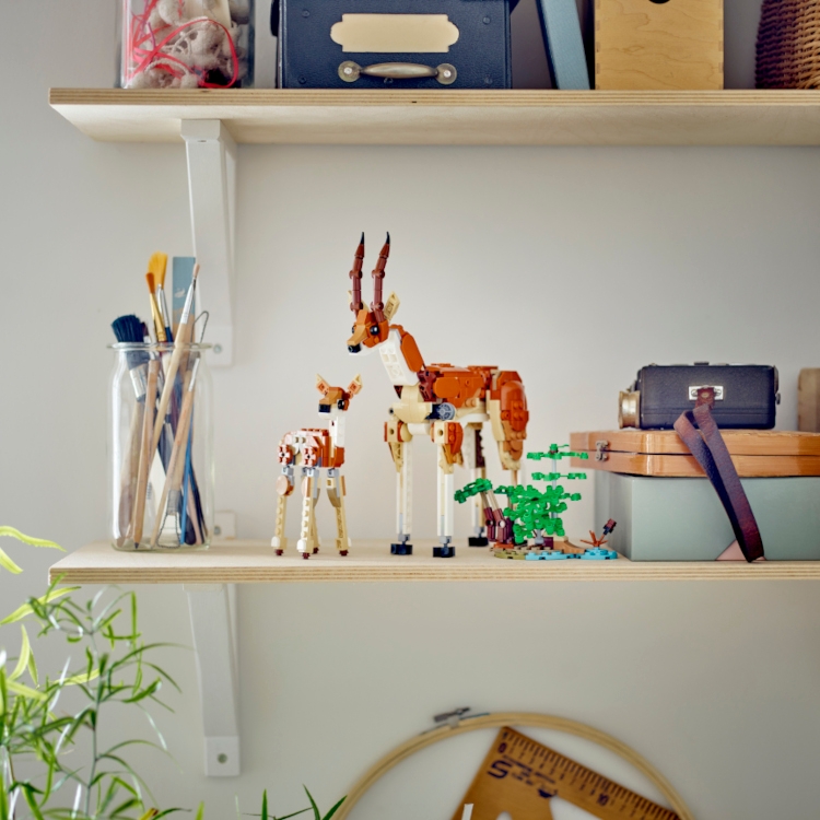 Best LEGO® toys for 10-year-old girls | Official LEGO® Shop SG