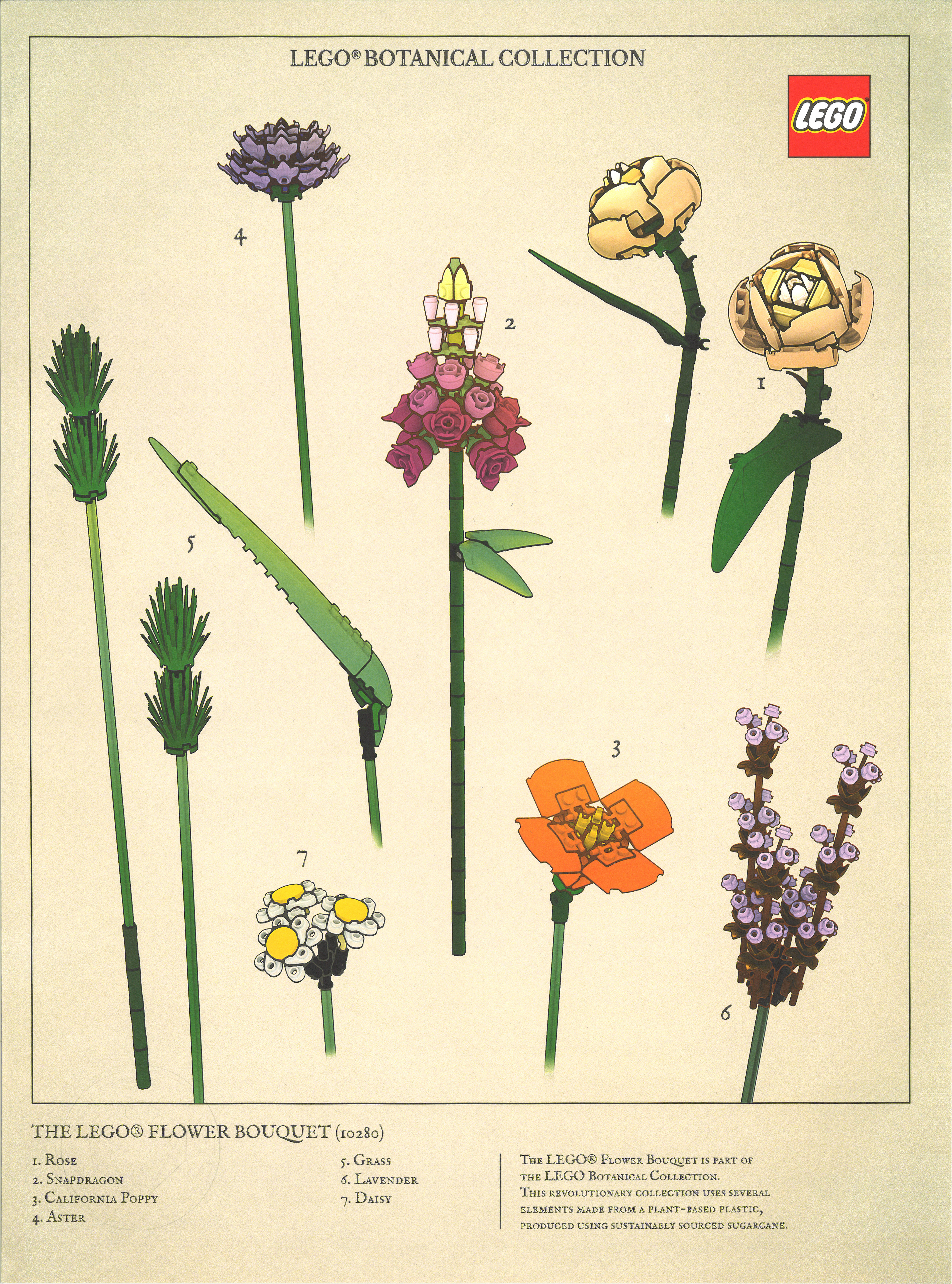 Botanical Collection Art Print – Bouquet 5007798 | Other | Buy online ...