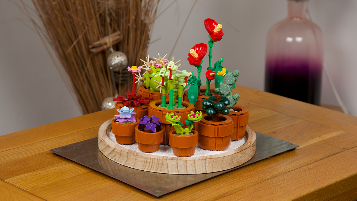 How to Display the LEGO® Icons Tiny Plants in Your Home | Official LEGO® SA