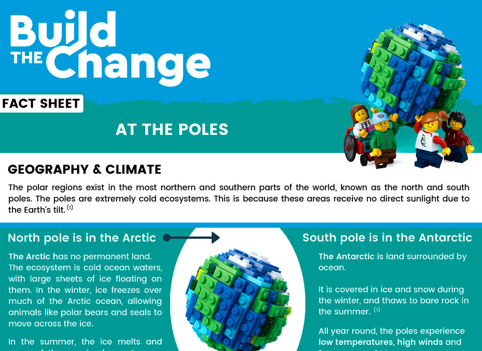 Build the Change activities - Sustainability - LEGO.com US